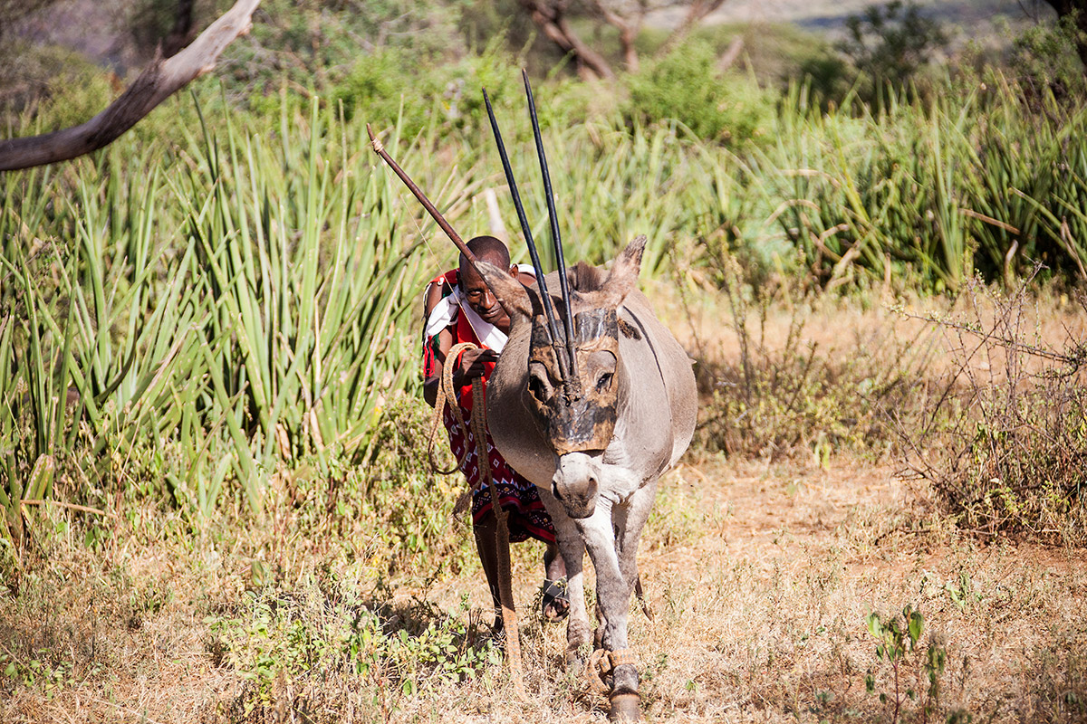 Staying at Il Ngwesi – Il Ngwesi